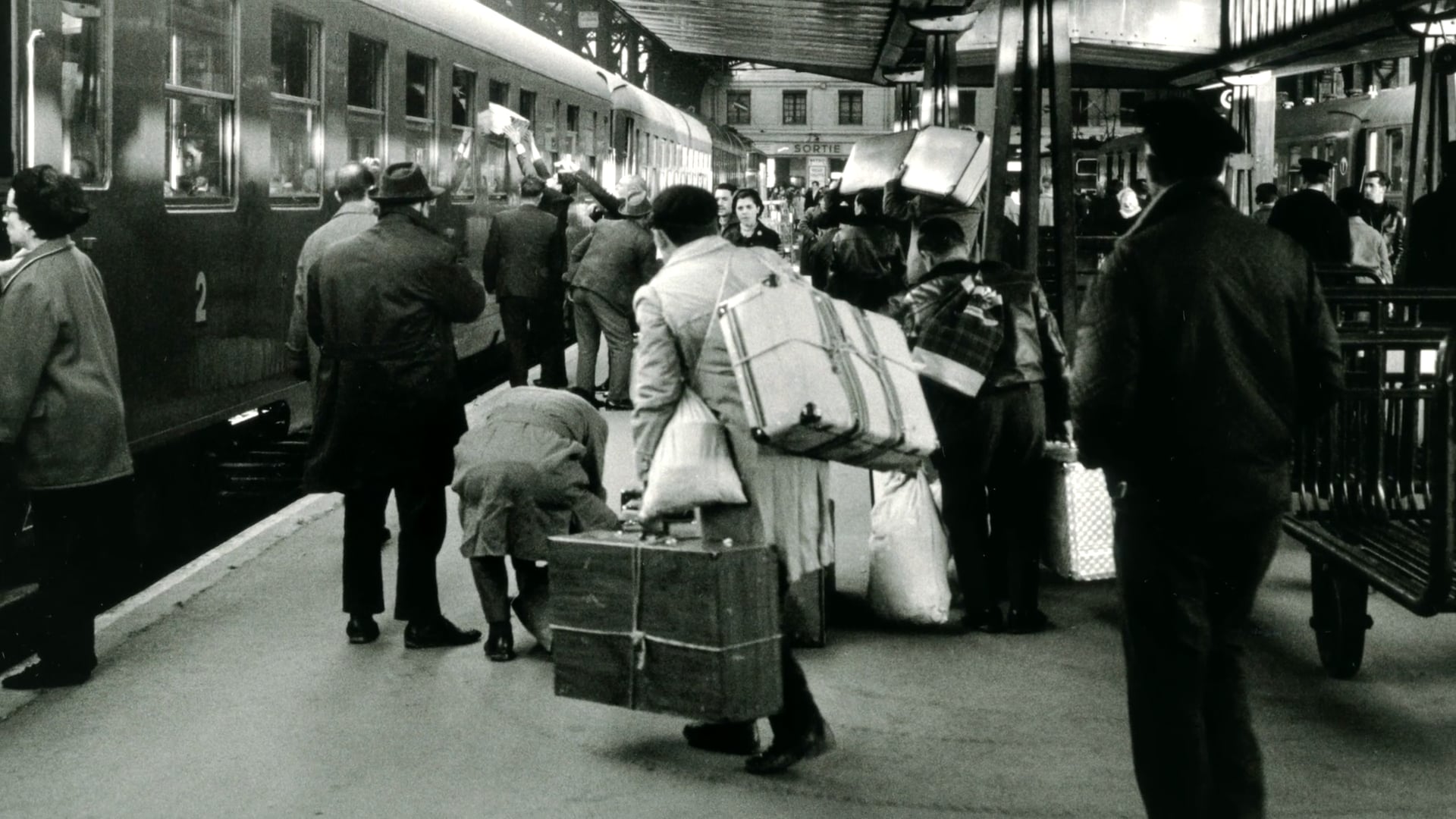 L’histoire des migrations dans un film inédit | Tout le Palais | Palais ...